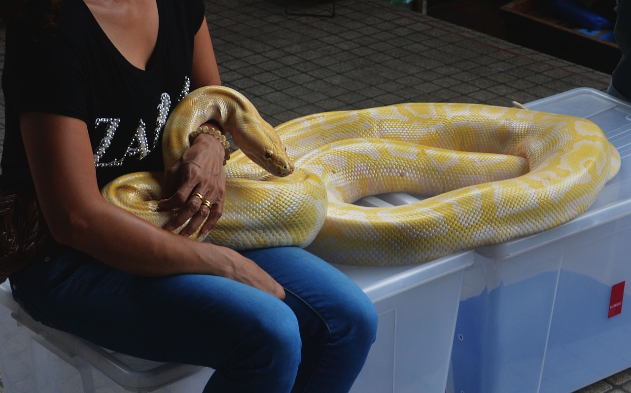 Snake Farm in Bangkok » Phuket vakantie